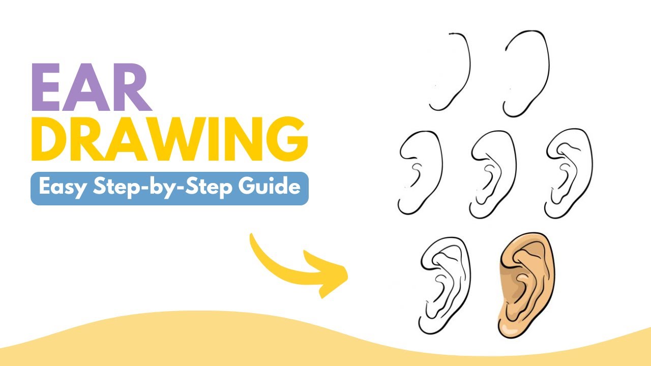 How to Draw An Ear – A Step-by-Step Guide 👂 - YouTube
