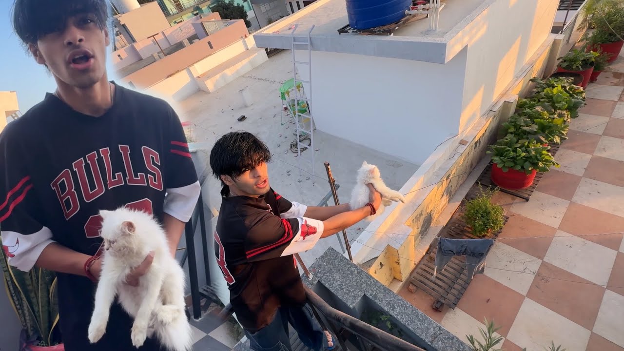 BULBUL Phir Se Ghar Se Bhaag Gayi 😮 3 Mahine Choti Cat | Ab Kya Hoga ...