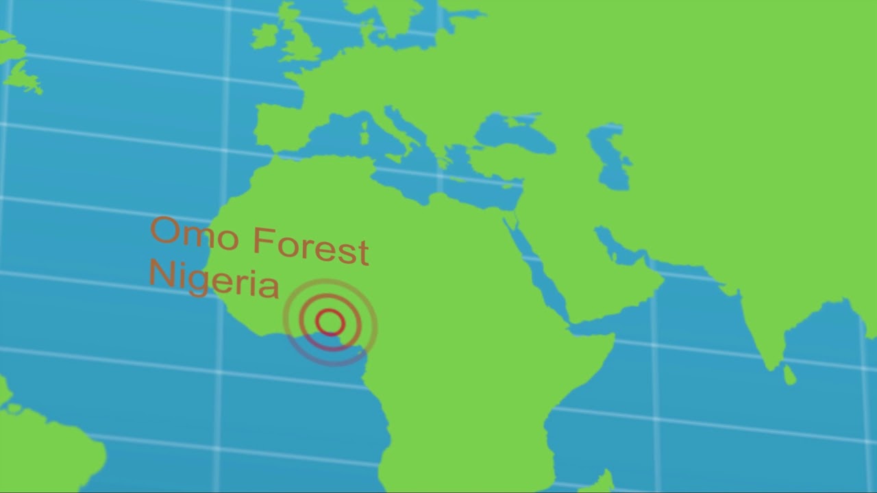 Omo Forest Reserve, Nigeria | Map - YouTube