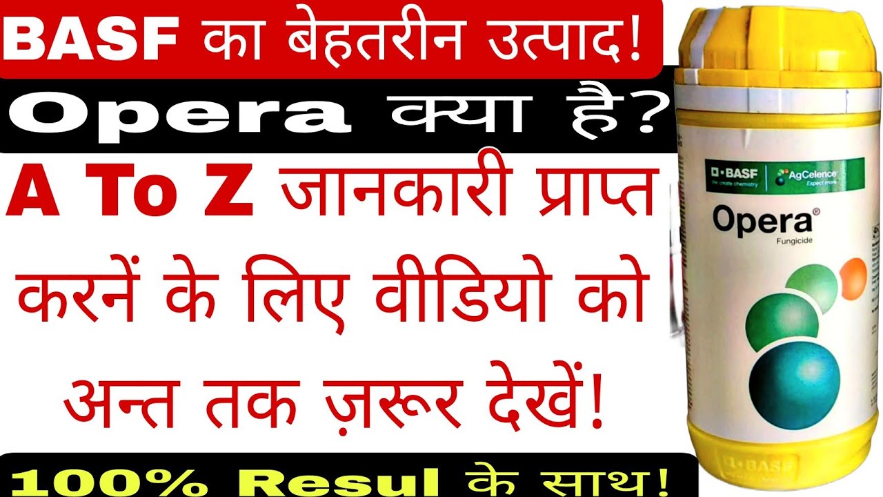 BASF Opera | Benefits of Opera | How does it work on Fungus | Control ...