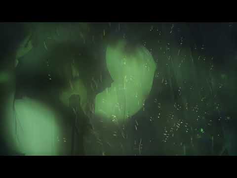 Plastic Tree - Yuku Pura Kuru Pura -Furikae KouenーYuku Pura Kita Pura  [DVD; Disk 1]