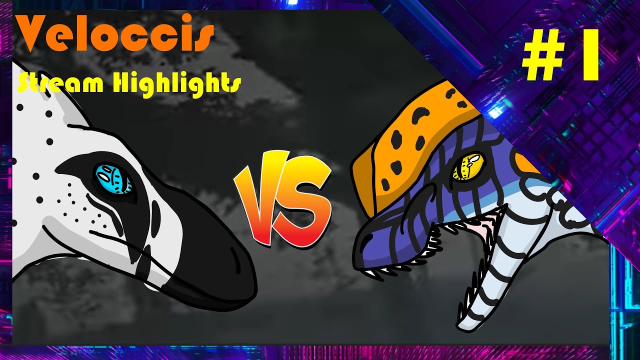 Veloccis Stream Highlights #1 VELOCCI VS GLITCH UND DER NEUE ...