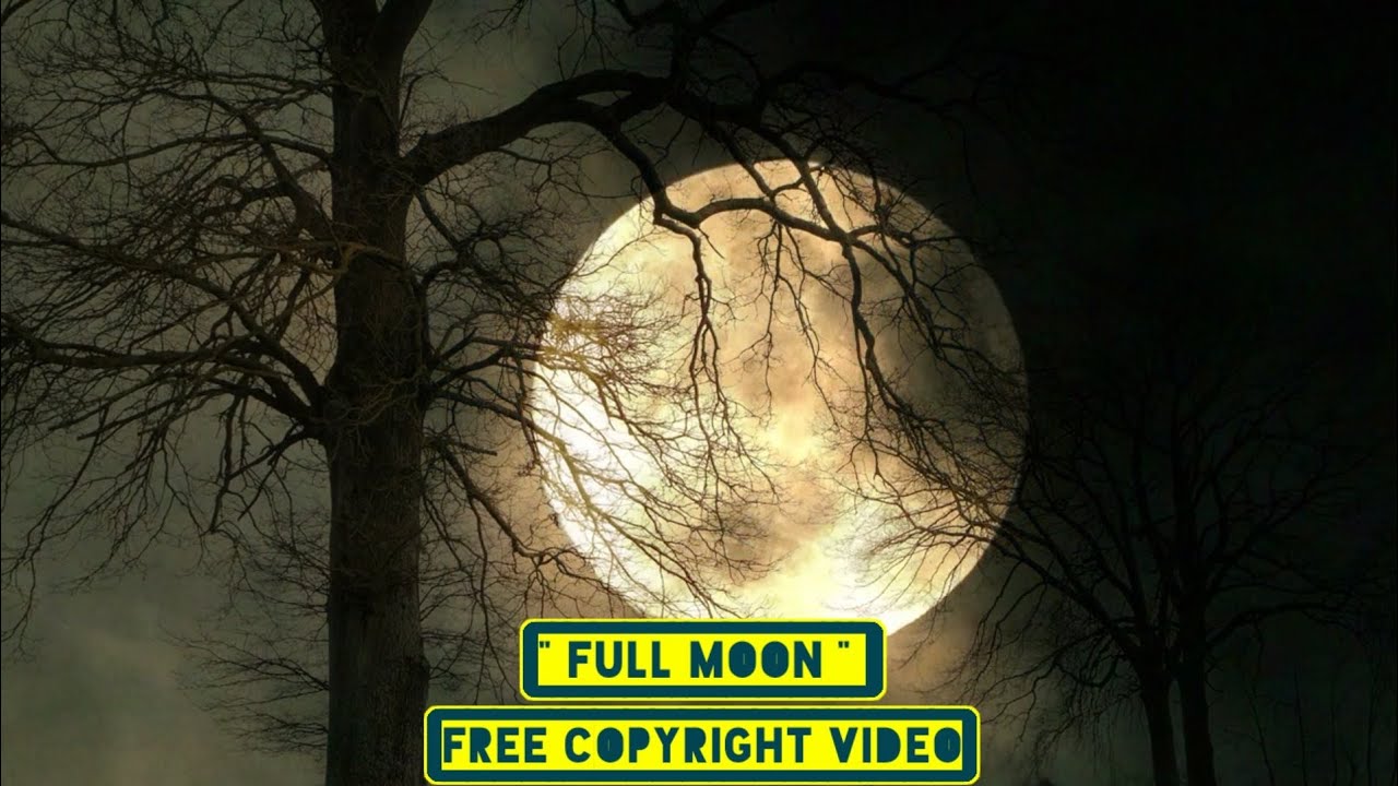 Full Moon Free copyright Video | Royalty Free Video | Free Footage ...