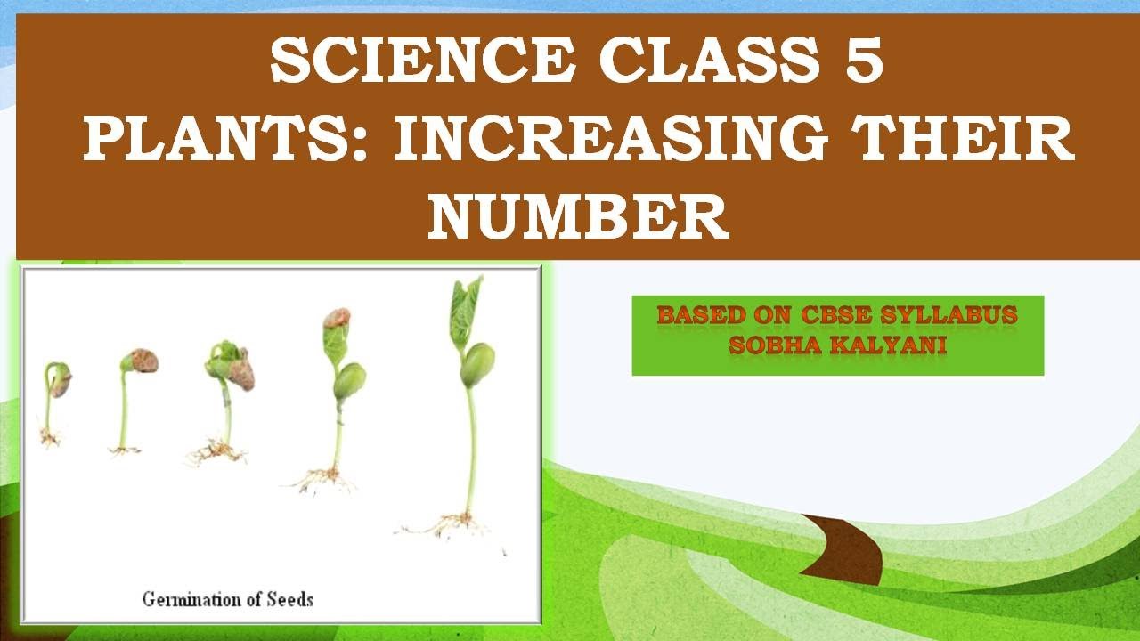 Plants Increasing Their Number Class 5 Science || Class 5 Science ...