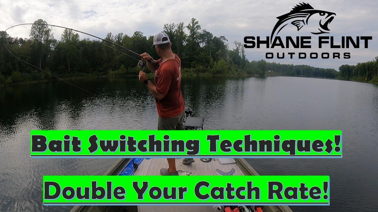 Bait Swap Strategies: Fall Bass Fishing Success with Two Different ...