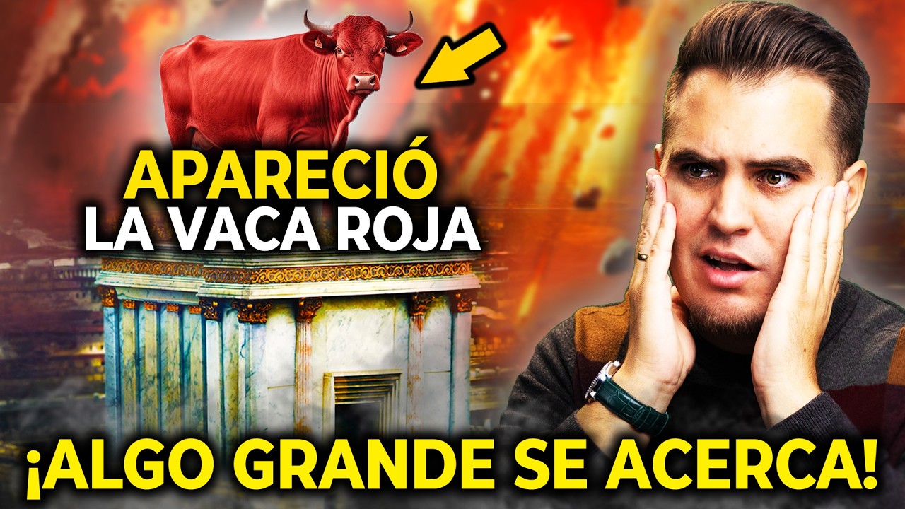 La Profecía de la VACA ROJA y el TERCER TEMPLO está a punto de cumplirse frente a nuestros ojos ...