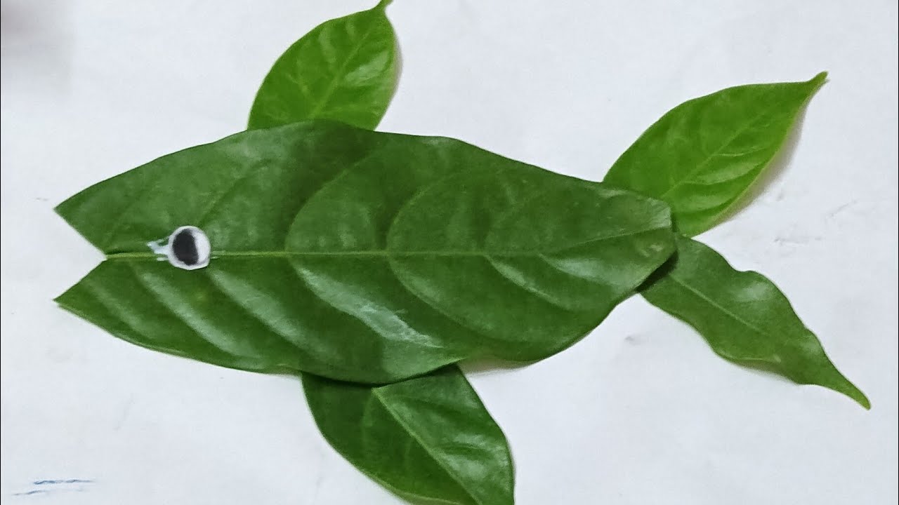 Fish Leaf Art | Making Fish From Leaves | Leaf Art Projects| पत्ती कला ...