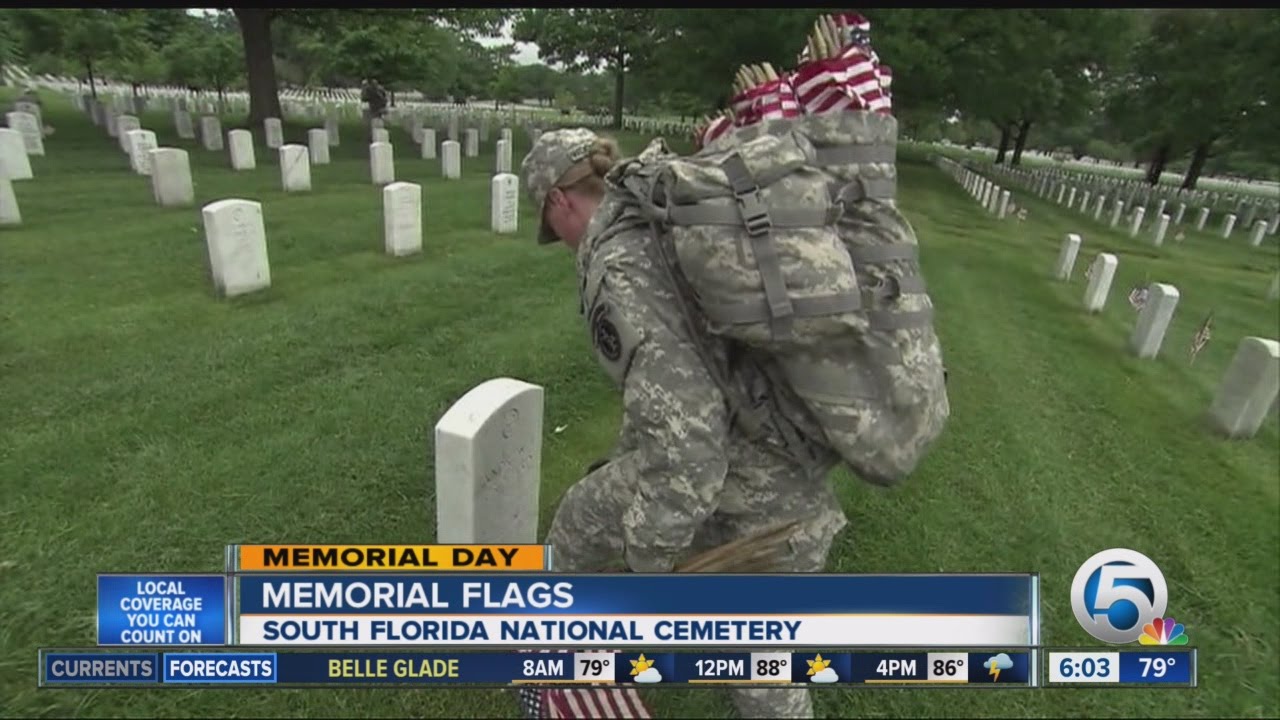 American flags placed on graves at the South Florida National Cemetery ...