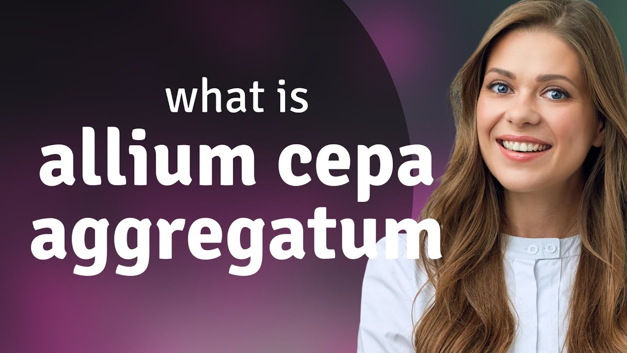 Allium cepa aggregatum • ALLIUM CEPA AGGREGATUM definition - YouTube