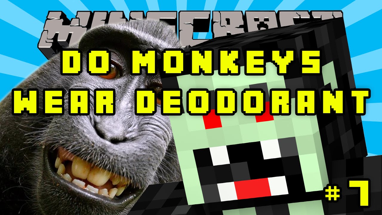 Let's Play Minecraft - Pixel Painter - Do Monkeys Use Deodorant? - YouTube
