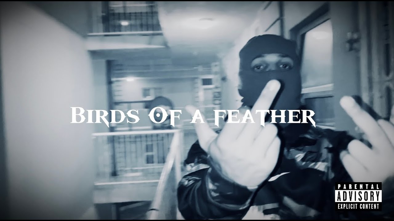 Xavy - Birds Of A Feather ft. King Pablo (Official Music Video) - YouTube