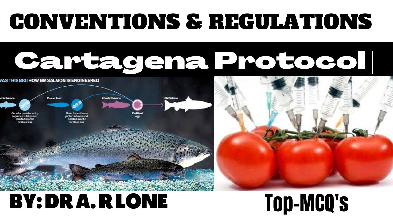 Cartagena Protocol ||Fisheries|| Environment||upsc||IFF||Msc||Bsc ...