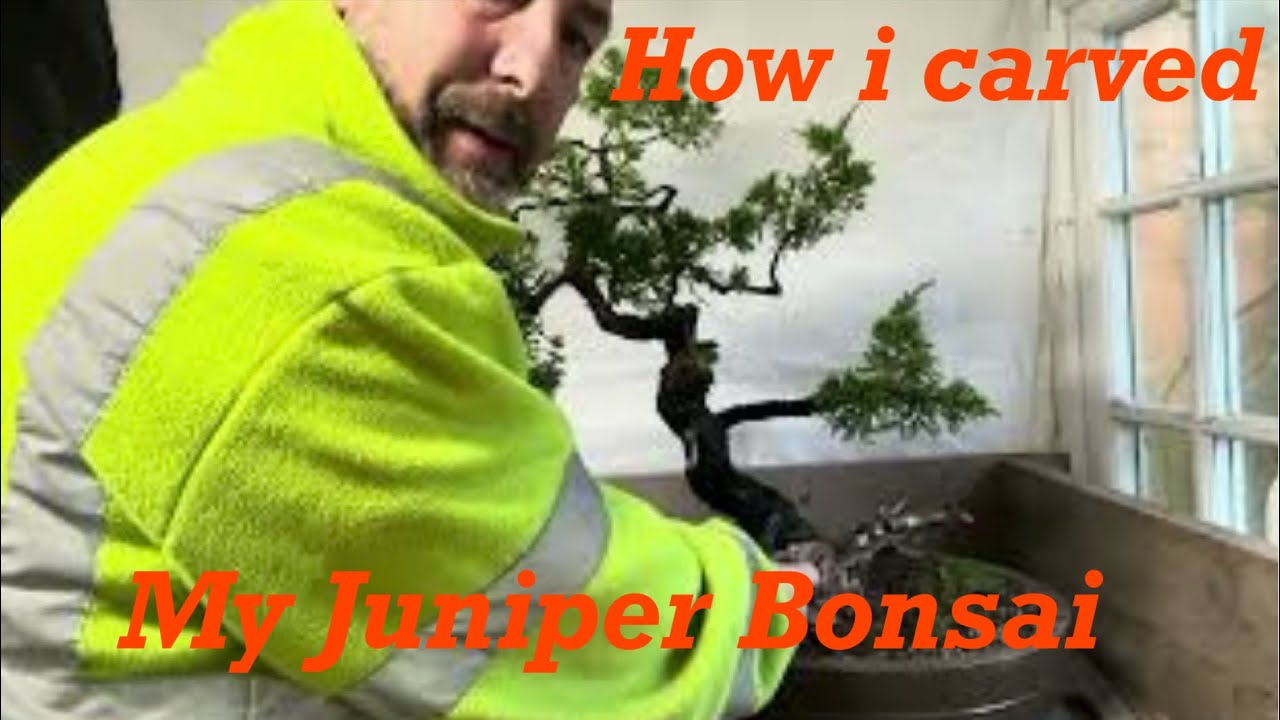 How i carved my Juniper Bonsai - YouTube