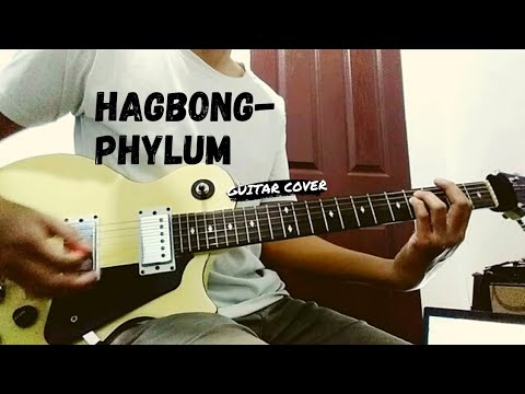 Hagbong - Phylum | Guitar cover - YouTube