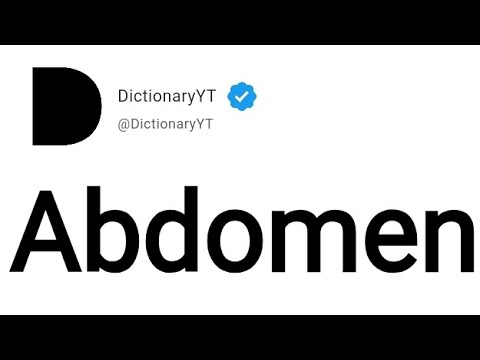 Abdomen Meaning in English - YouTube
