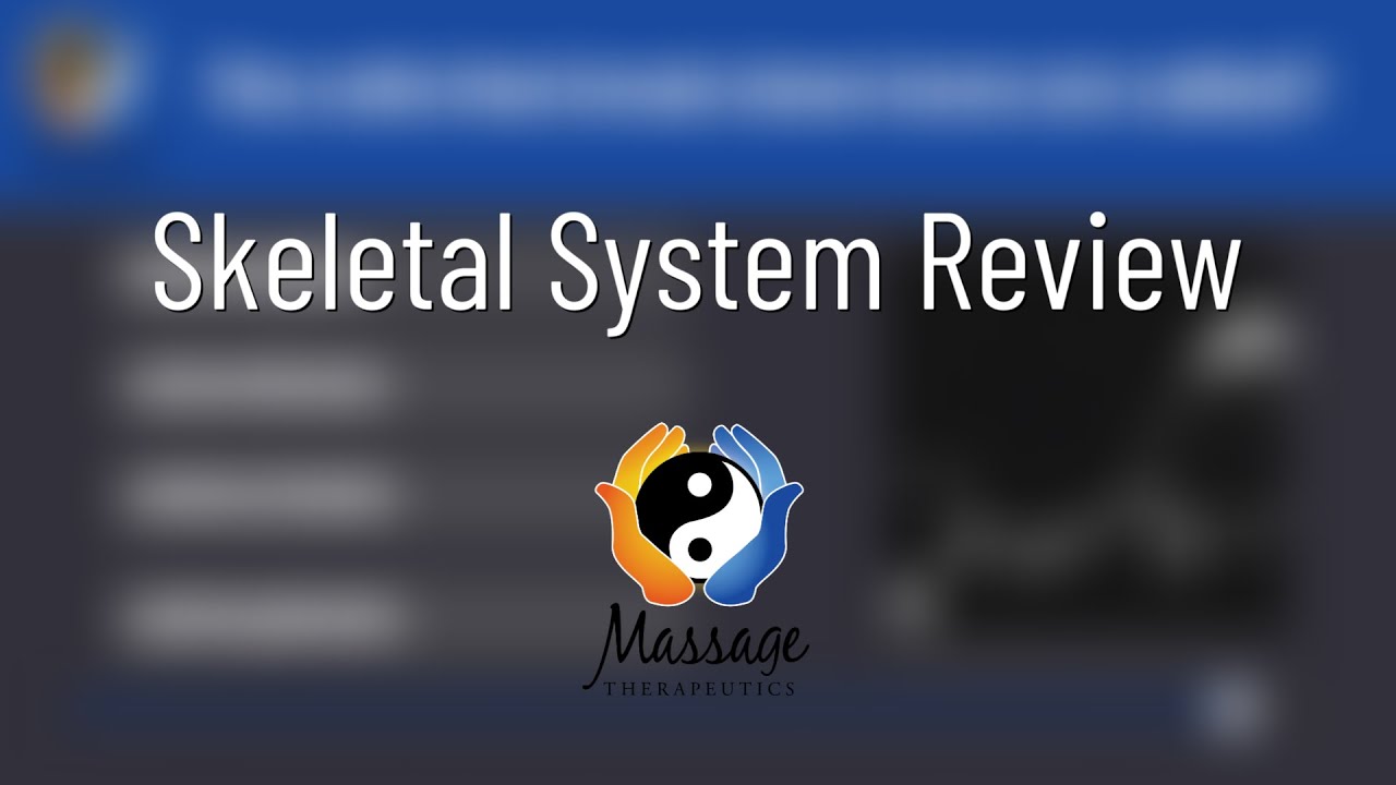 Skeletal System Test Review - YouTube