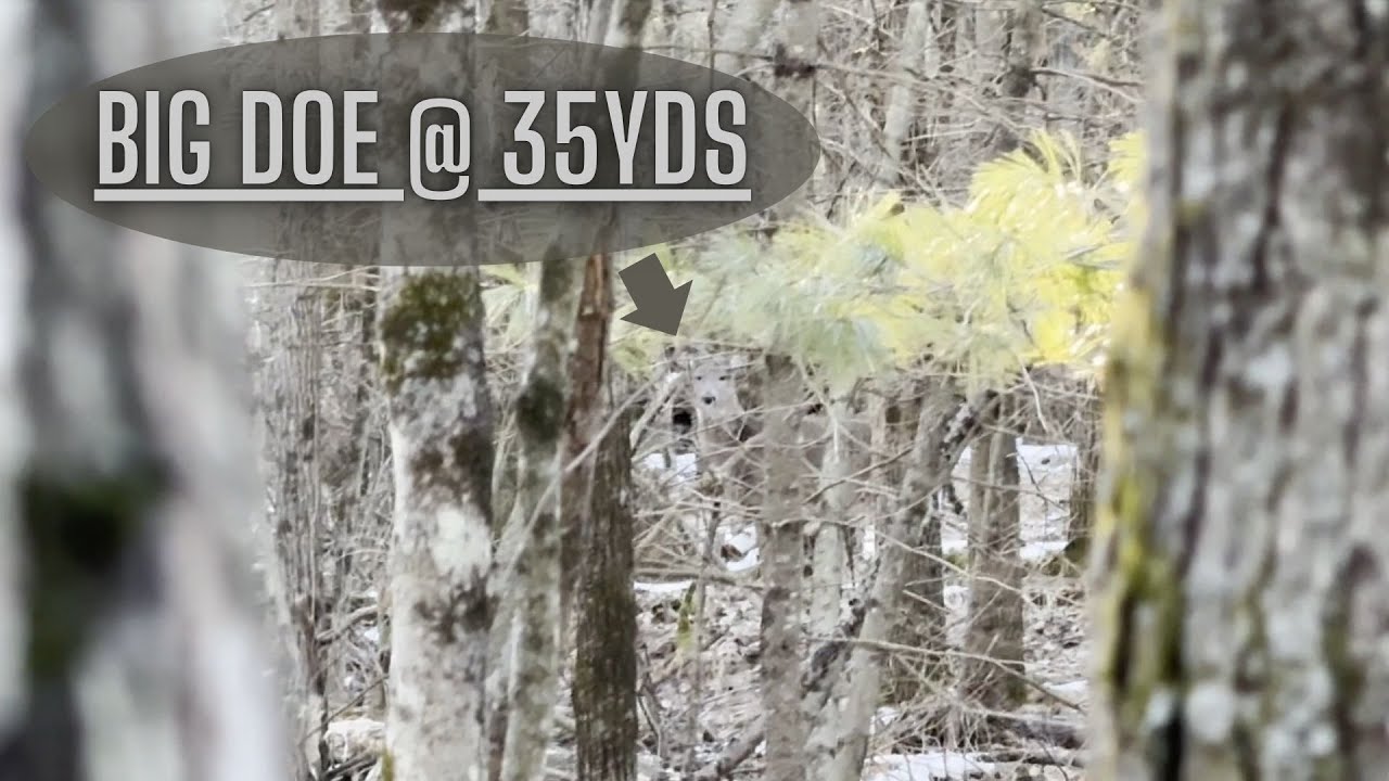 Hunting the Fort - Fort McCoy Late Season Archery Scout/Hunt - 5°F ...