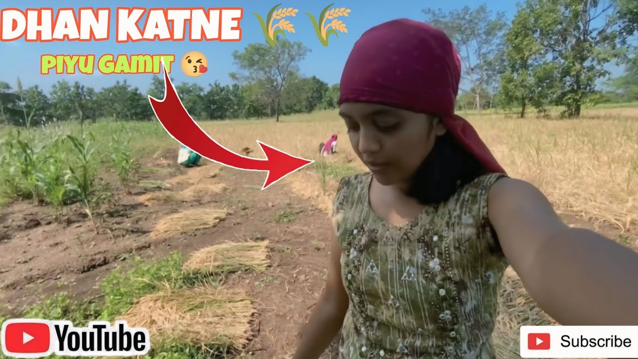 DHAN KATNE 🌾|| GOUMUKH WATER FALL 🍀 - YouTube