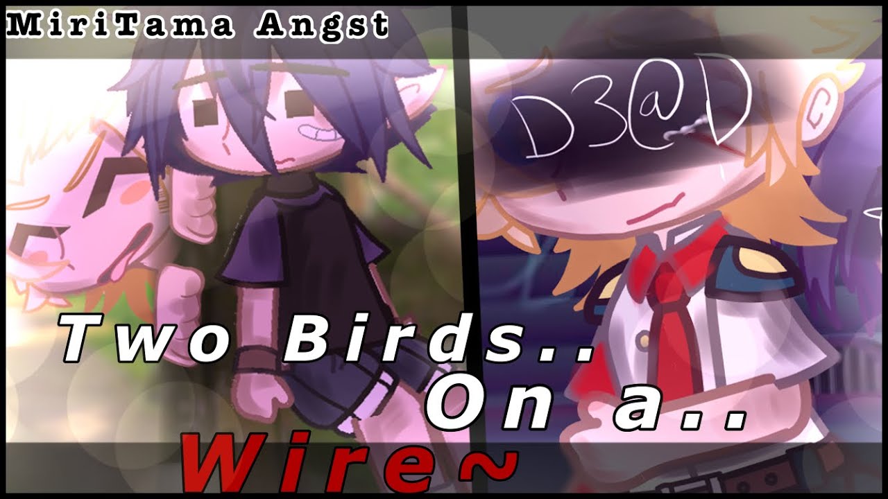 Two Birds, On A Wire~ || MHA / BNHA || MiriTama Angst / Dead Mirio AU ...