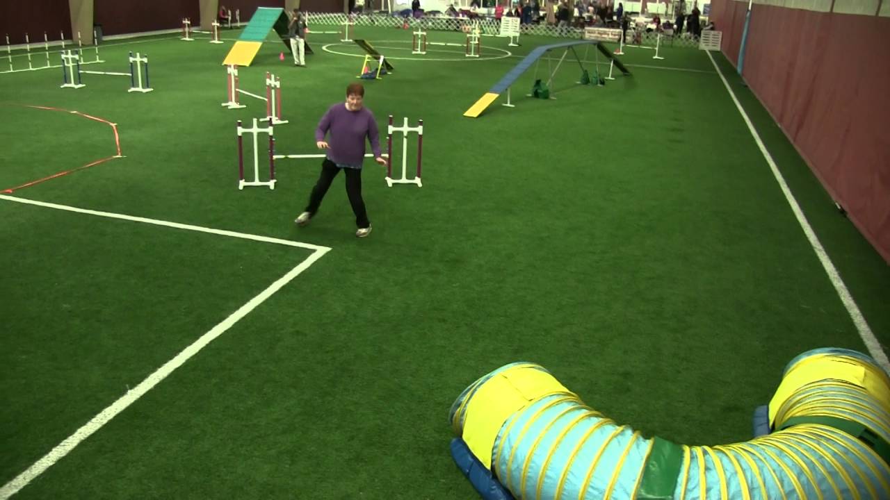 Ferris B Earning his Exc FAST Title May7, 2016 - YouTube