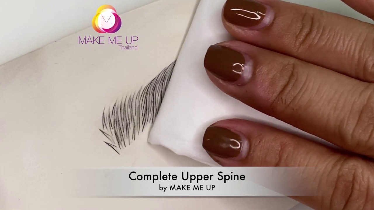 คิ้วลายเส้น 6 มิติ ( Microblading Complete Upper Spine ) ลายยุโรป ...