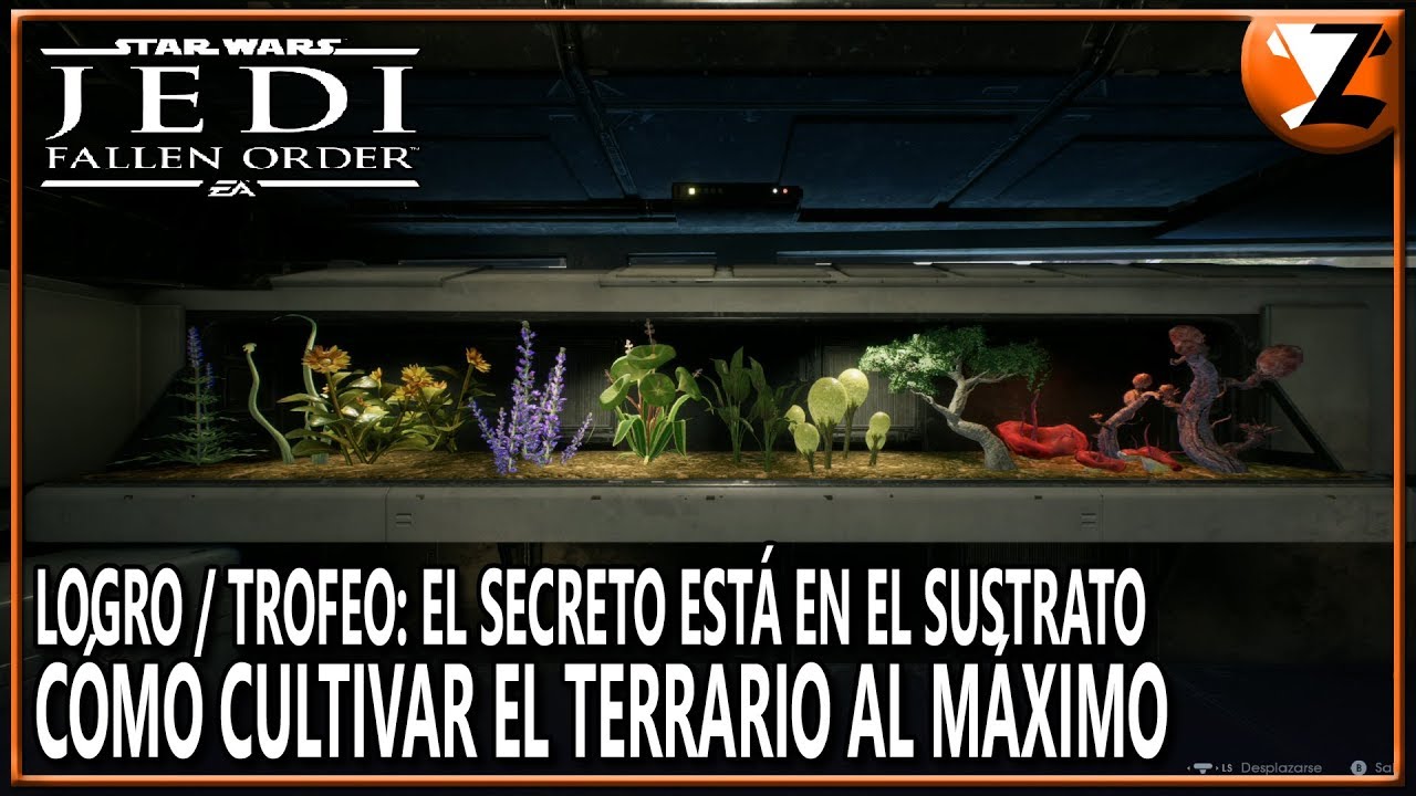 Star Wars Jedi: Fallen Order: Terrario al Máximo - Cómo Plantar y ...