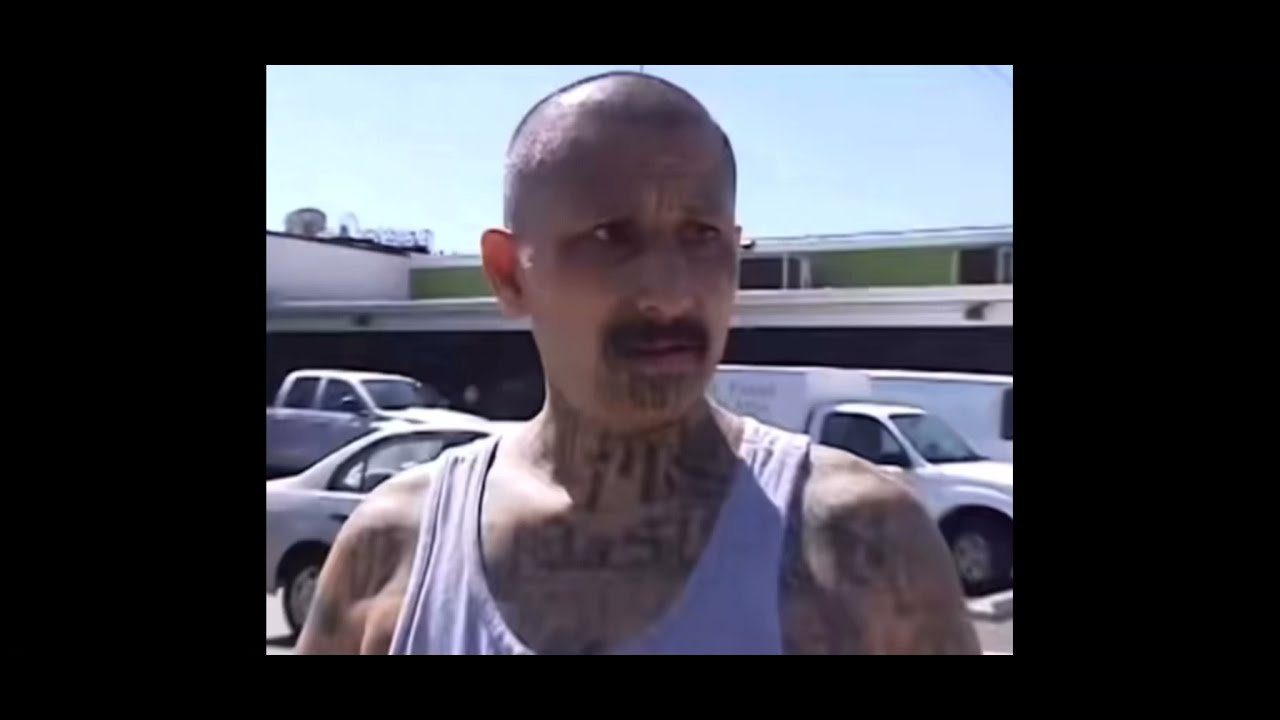 No Sabo Cholo First Hand Account Witness To A Shootout YouTube no-sabo-cholo-first-hand-account-witness-to-a-shootout-youtube