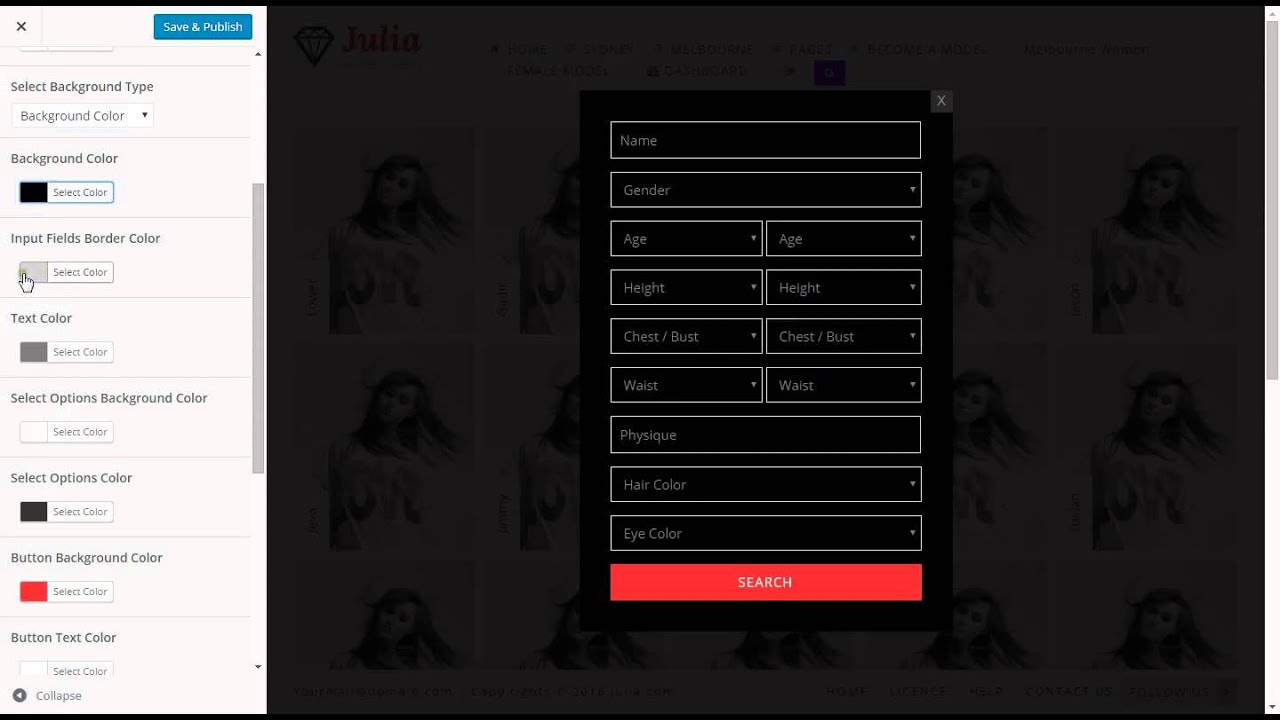 How To Edit Search Box Color Settings From Theme Customize - YouTube