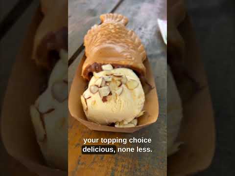 Shuga (Aguadilla, PR) - YouTube