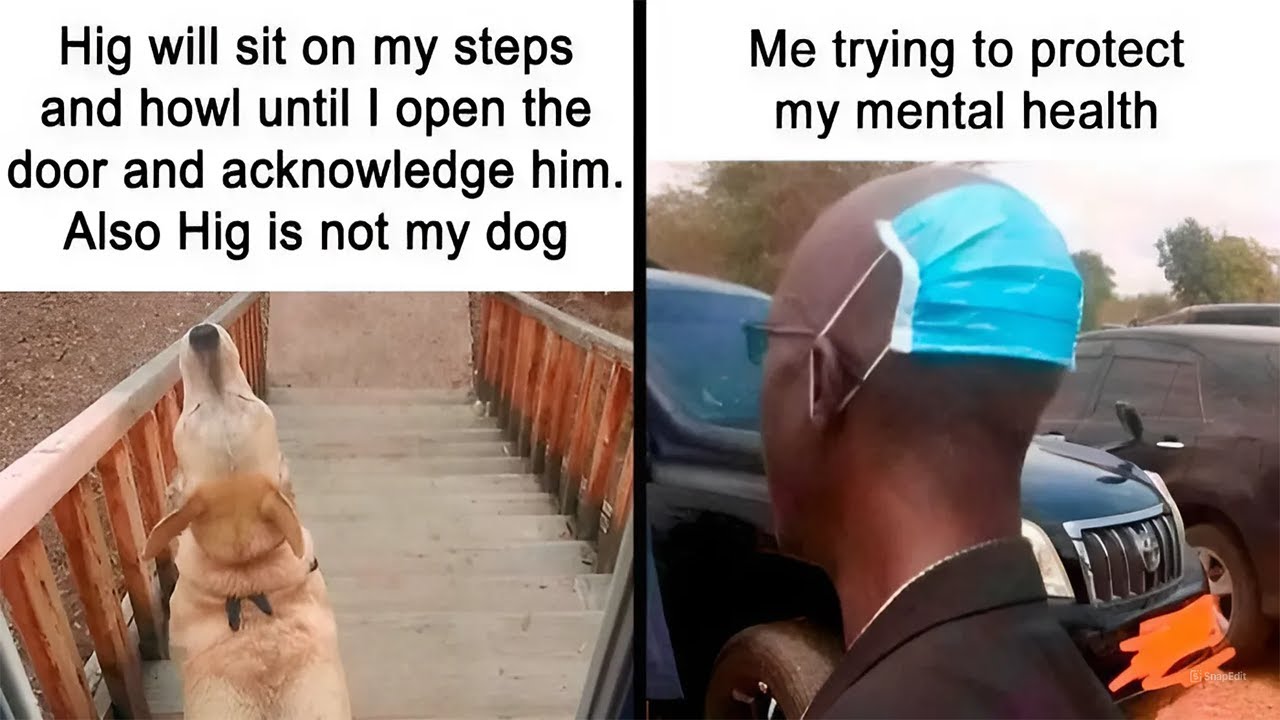 Hilariously Random Memes About Everything And Anything - YouTube