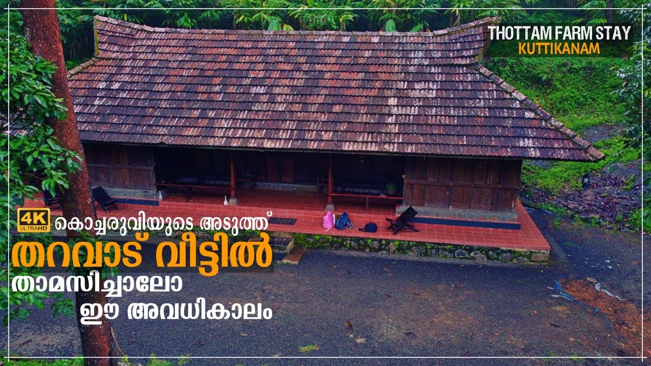 കുട്ടിക്കാനത്തെ അതിമനോഹരമായ തോട്ടം ഫാം സ്റ്റേ റിസോർട്ടിലെ കാഴ്ചക ...
