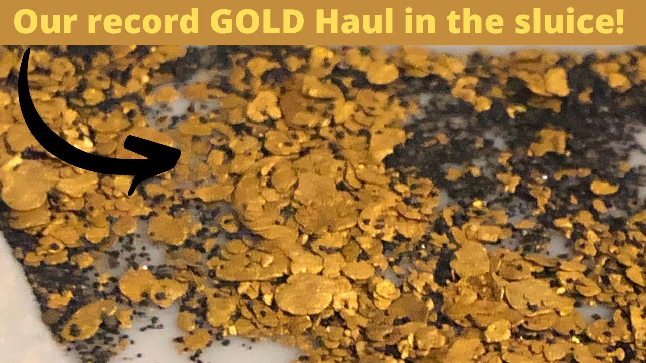 So much GOLD! Amazing Gold Panning trip on the West Coast! - YouTube