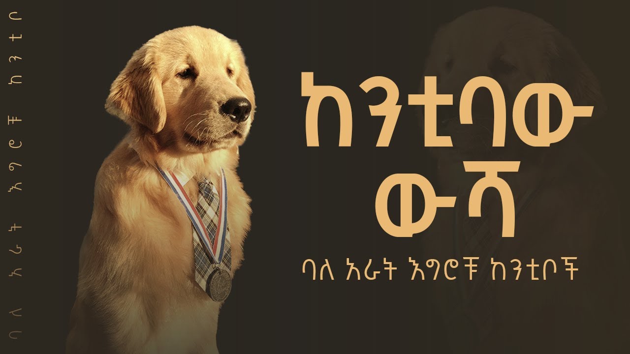 ባለ አራት እግሮቹ ከንቲቦች Mayor Max II - YouTube