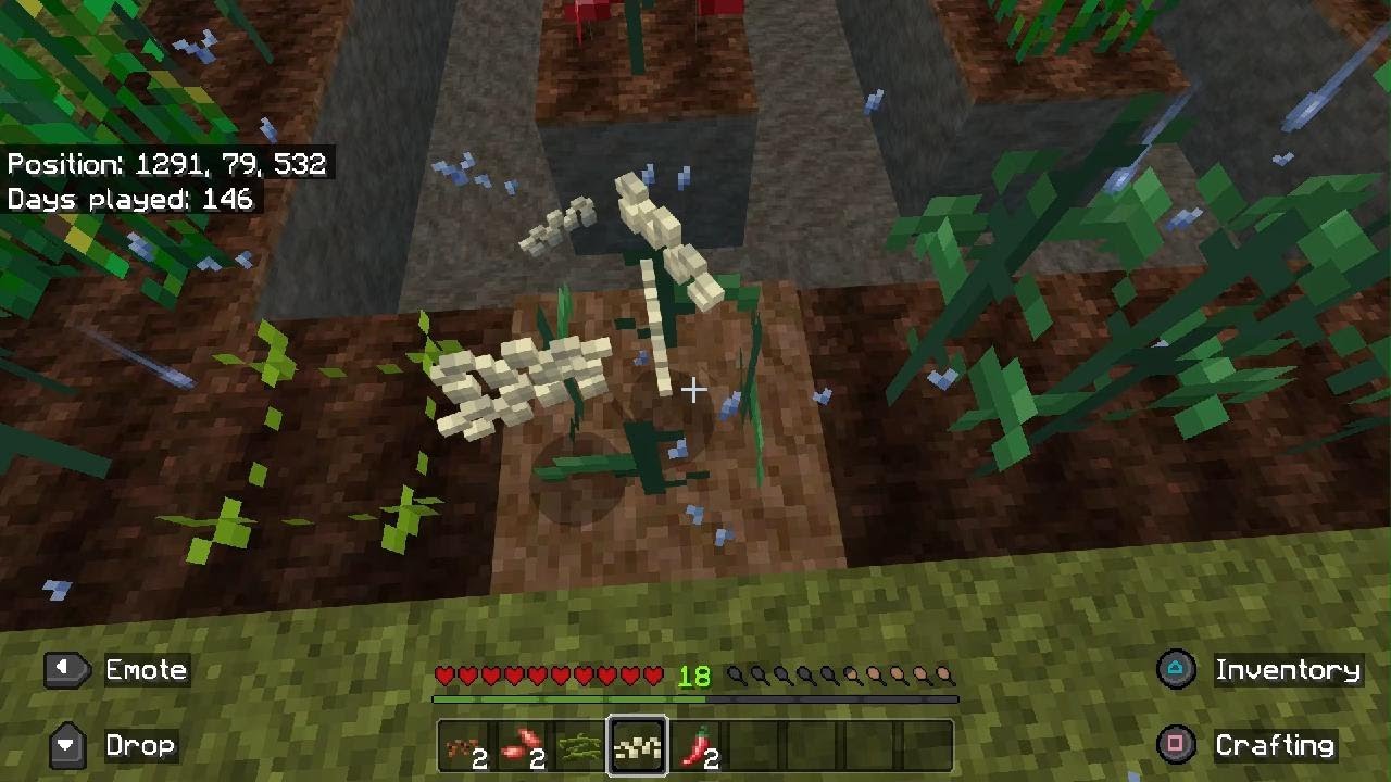 Infinite seeds - YouTube