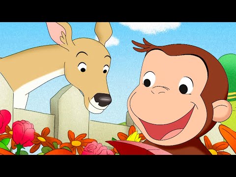 George e o Cervo Travesso! | Episódios Completos 🐵 George, o Curioso