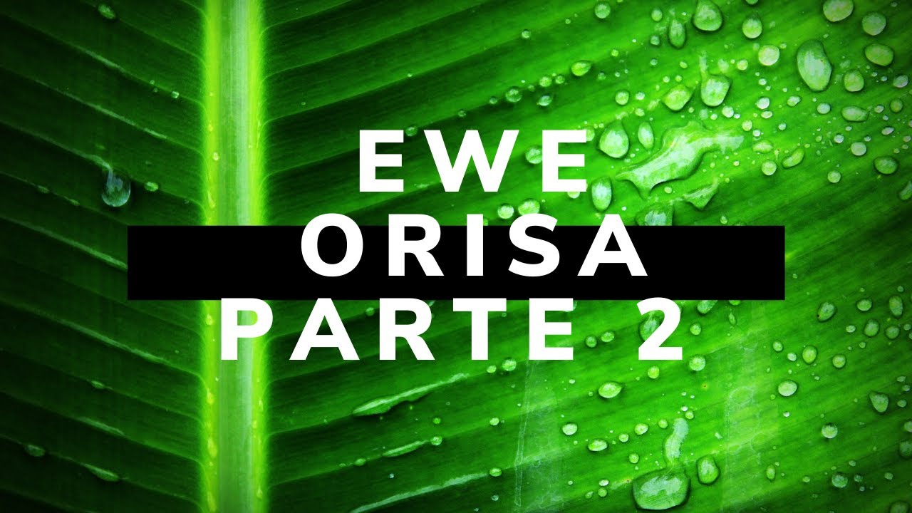 Ewe orisa, folhas de orisa parte 2 - YouTube