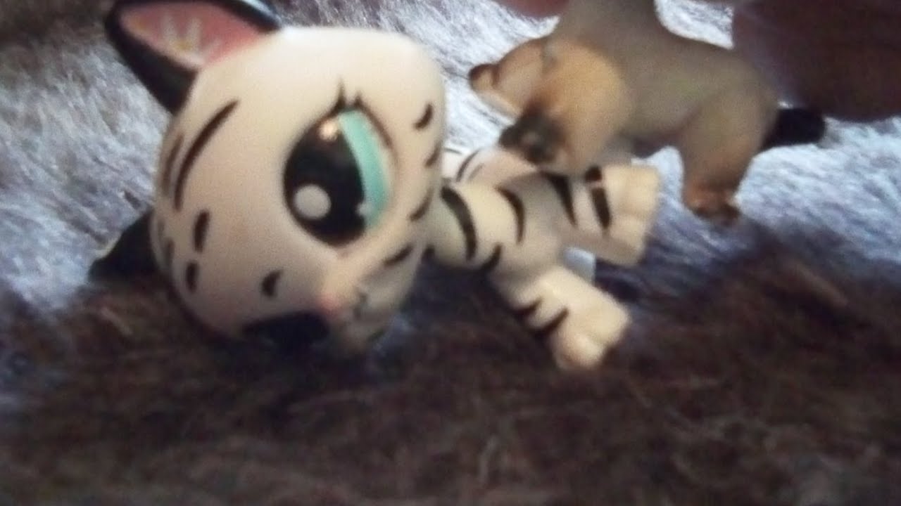 Pokémon Et Sailor Shimy Lps Et La - YouTube