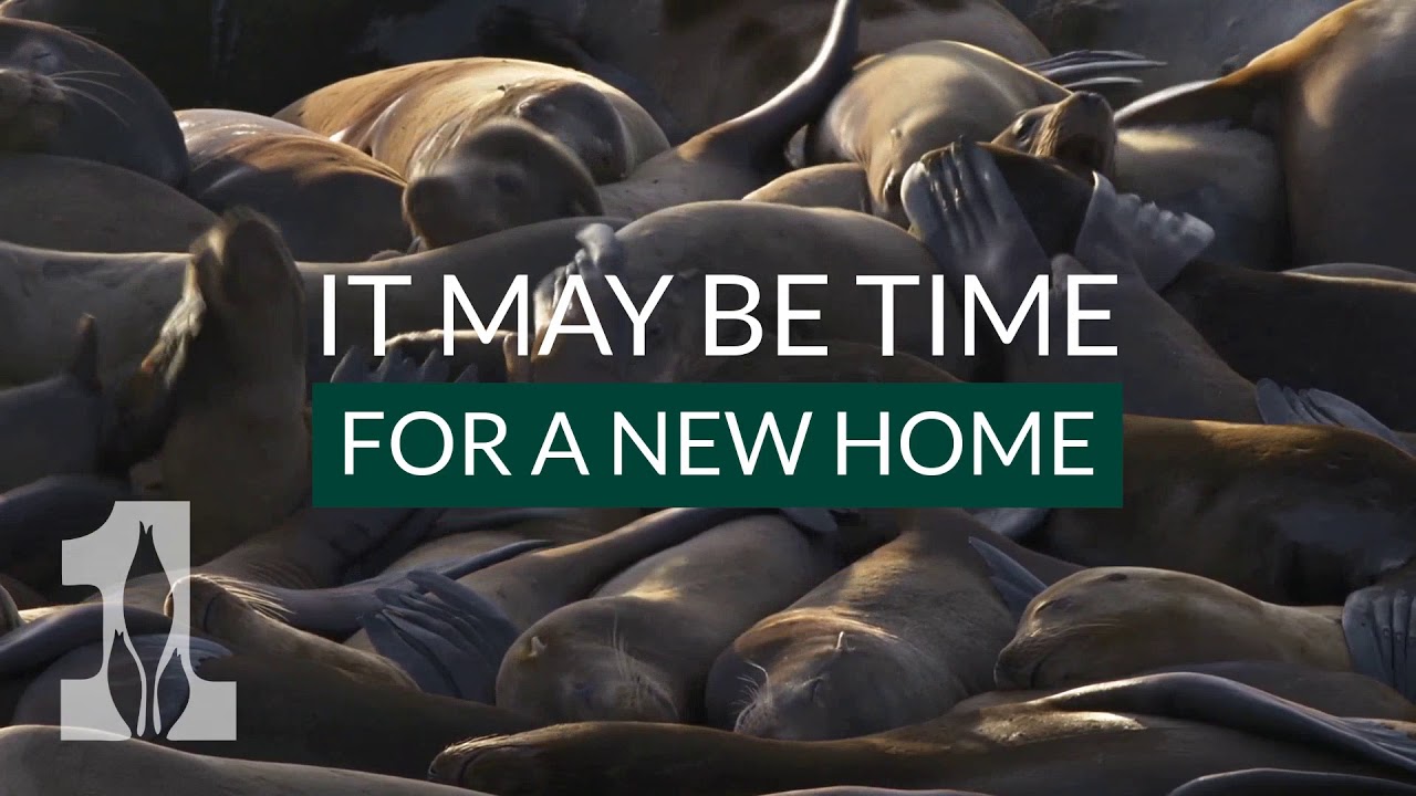 Running Out Of Room? - YouTube