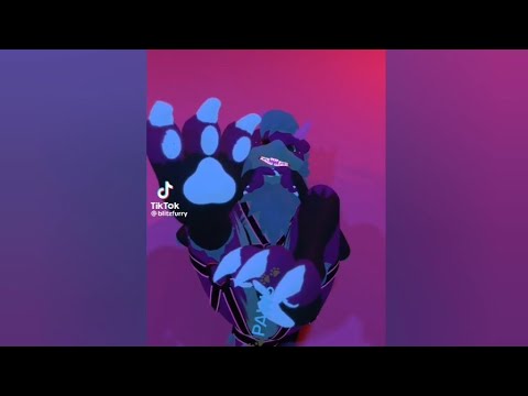 Maws, Paws, Tails, Claws - YouTube