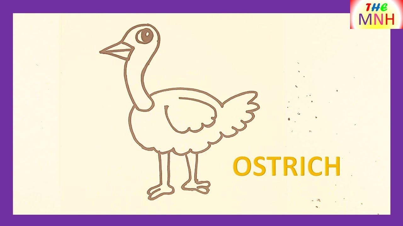 How to DRAW an OSTRICH Easy Step by Step - YouTube