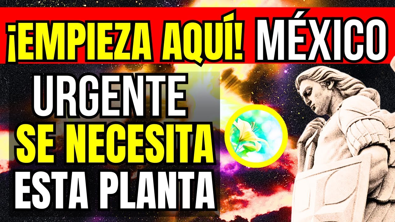 Mensajes divinos hoy: revelación divina Lorena Portillo ¡Mensaje de San ...