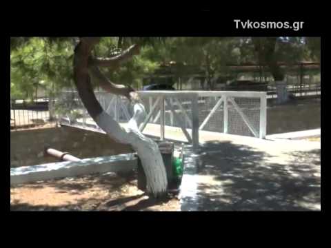 ΕΝΤΑΣΗ ΓΙΑ ΣΚΟΥΠΙΔΙΑ ΣΤΗ ΛΑΙΚΗTVKOSMOS - YouTube