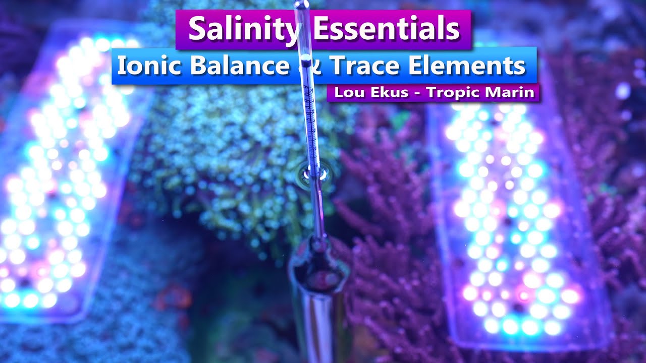 Salinity Essentials - Ionic Balance & Trace Elements with Lou Ekus - Tropic Marin - YouTube