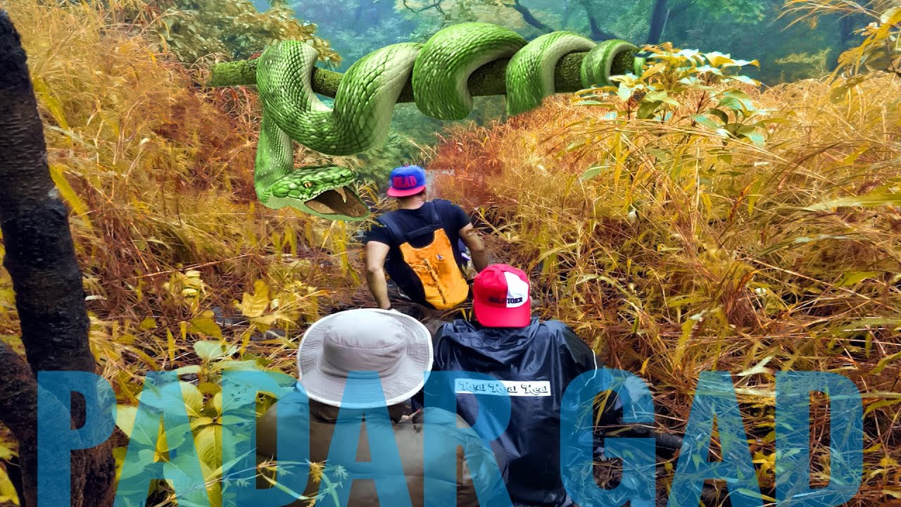 Padargad Trek, The Most Dangerous Trek to Complete In Monsoon🐍 - YouTube