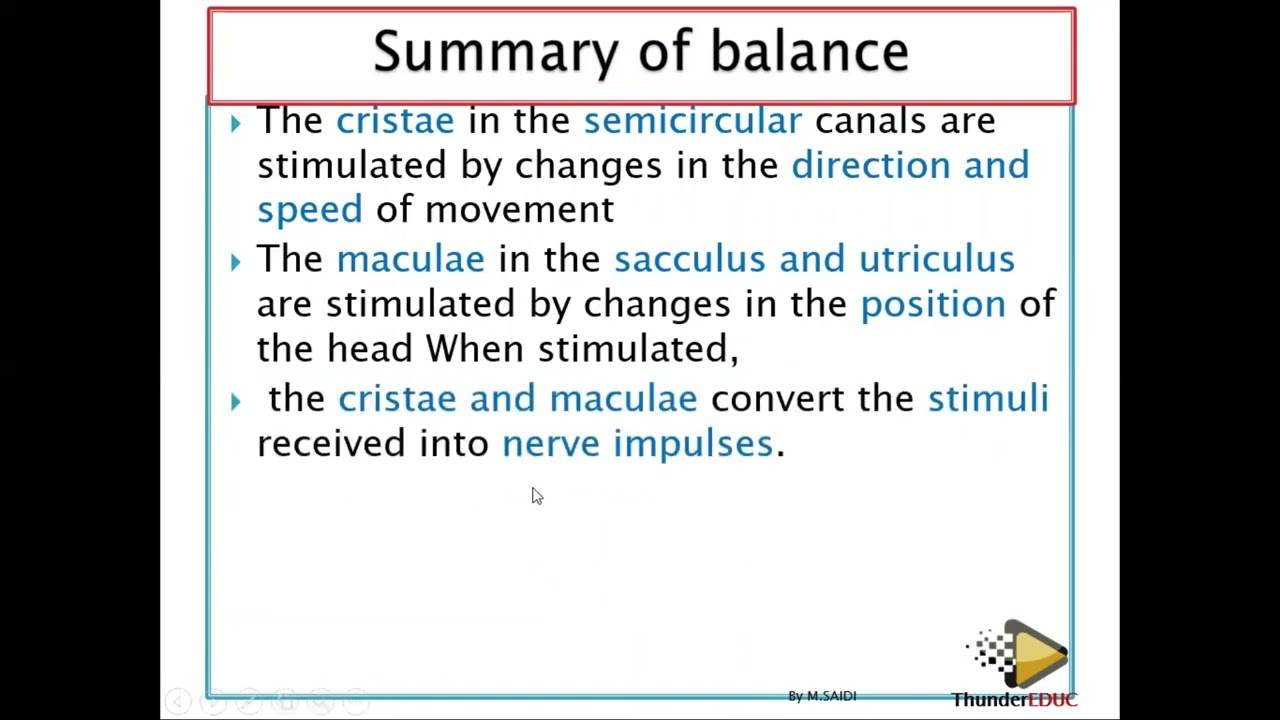 LIFE SCIENCES GRADE 12 : BALANCE & EAR DEFECTS THUNDEREDUC M SAIDI ...
