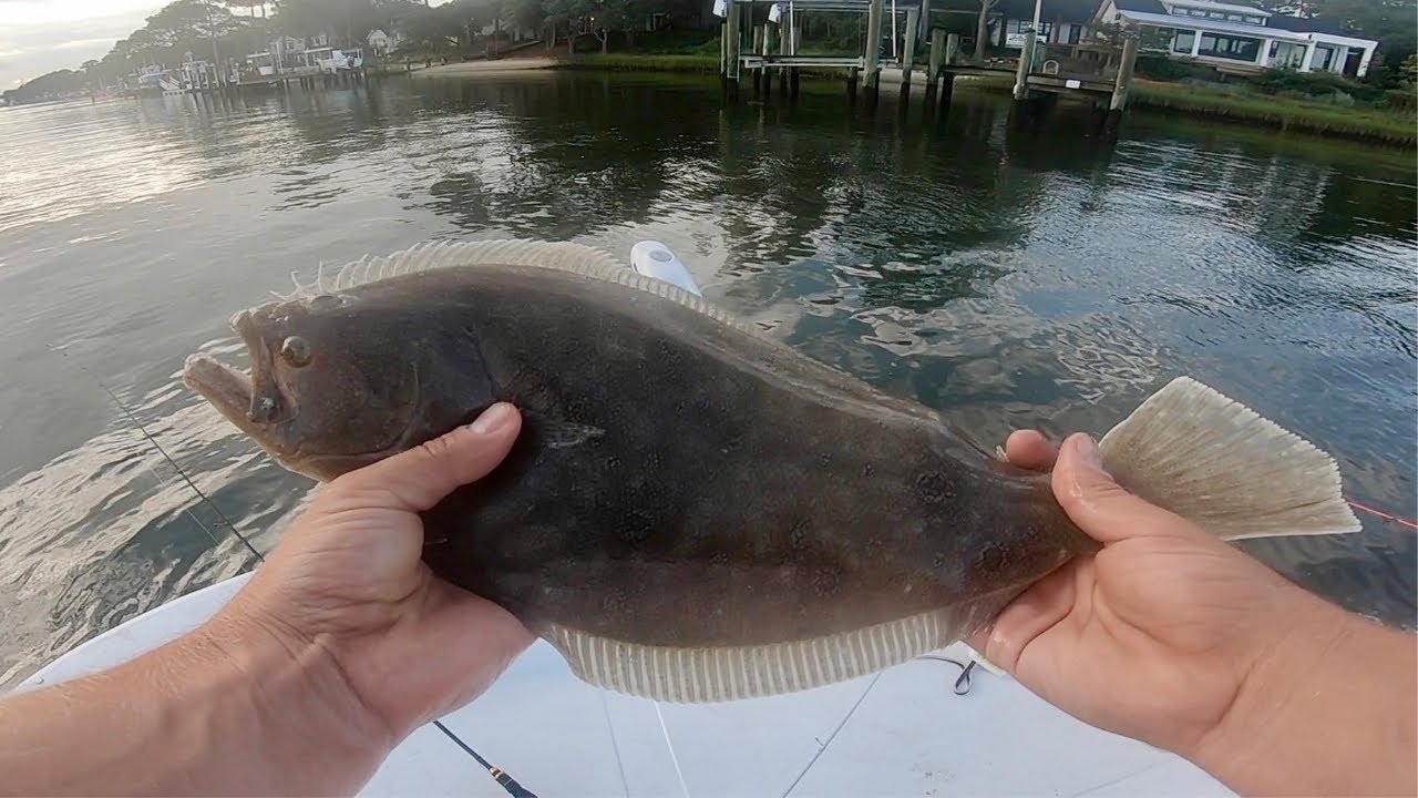 How to Catch Flounder on Docks Easy + Catching Giant Surprise Fish ...