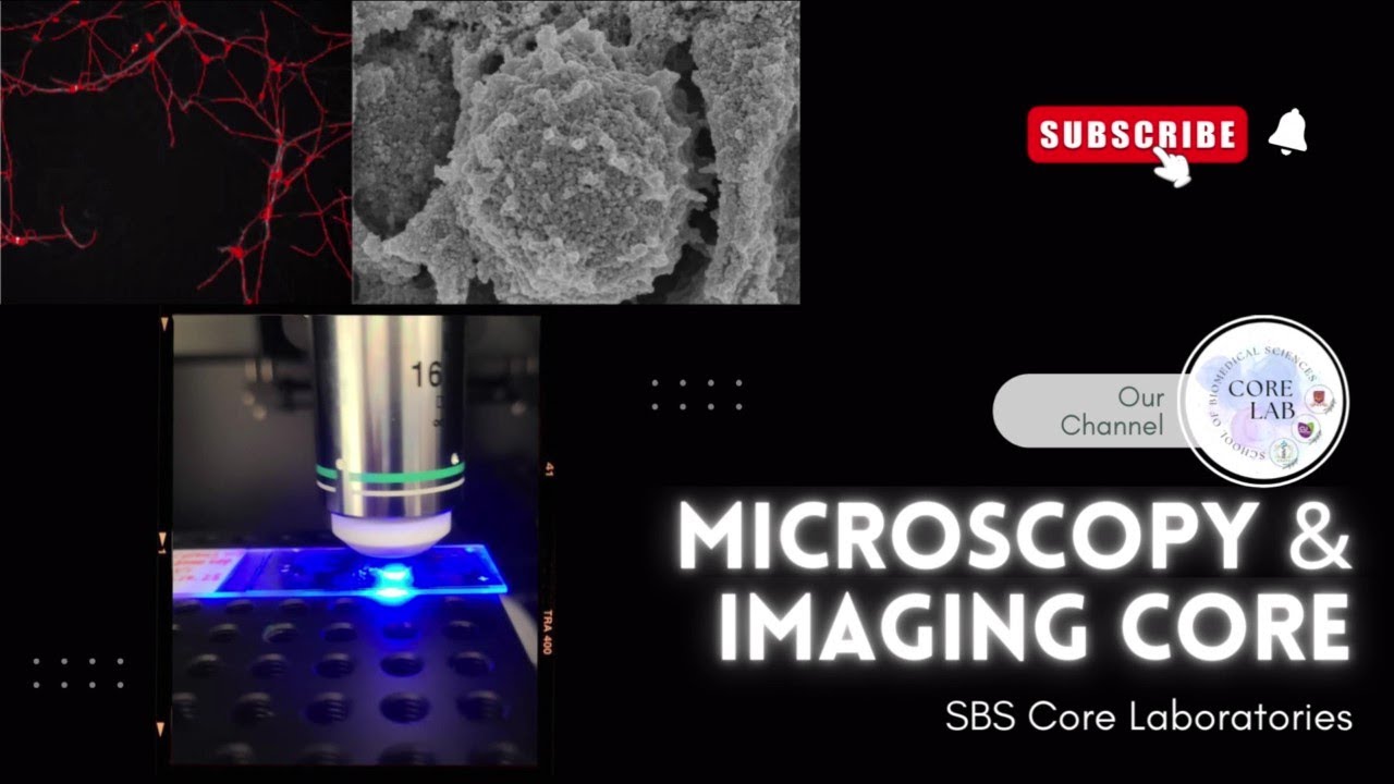 Introduction of SBS Microscopy & Imaging Core - YouTube