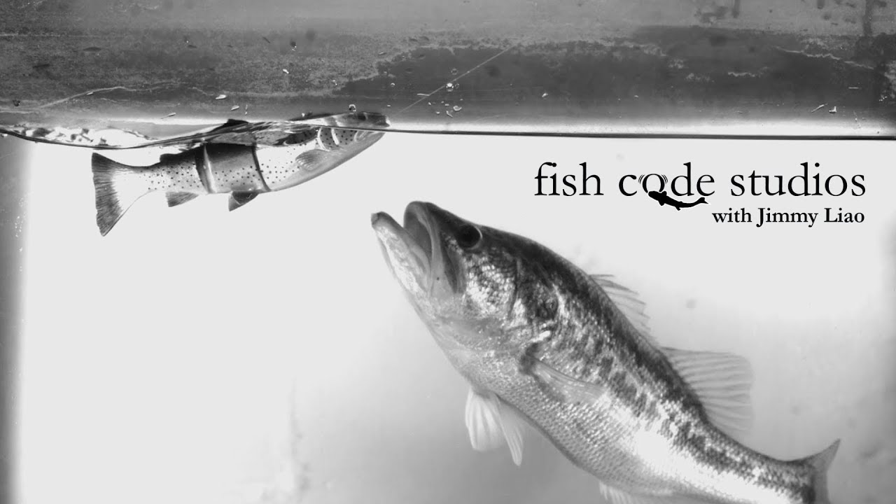 Swimbait SCIENCE: how to see fish FOOTPRINTS - YouTube