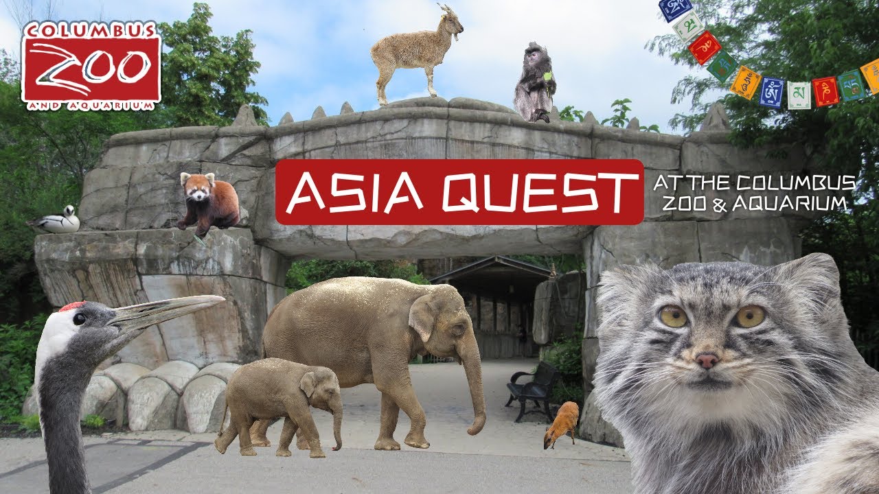 Asia Quest at the Columbus Zoo & Aquarium | Exhibit Tours Ep. 43 - YouTube