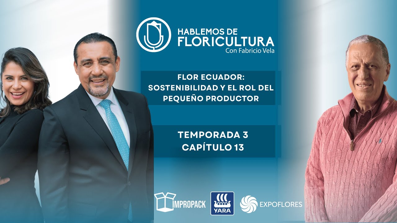 Cap 13: Flor Ecuador: Sostenibilidad y el rol del pequeño productor ...